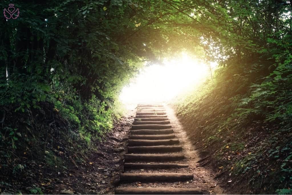 7 Signs From The Universe That You're On The Right Path in Life ...